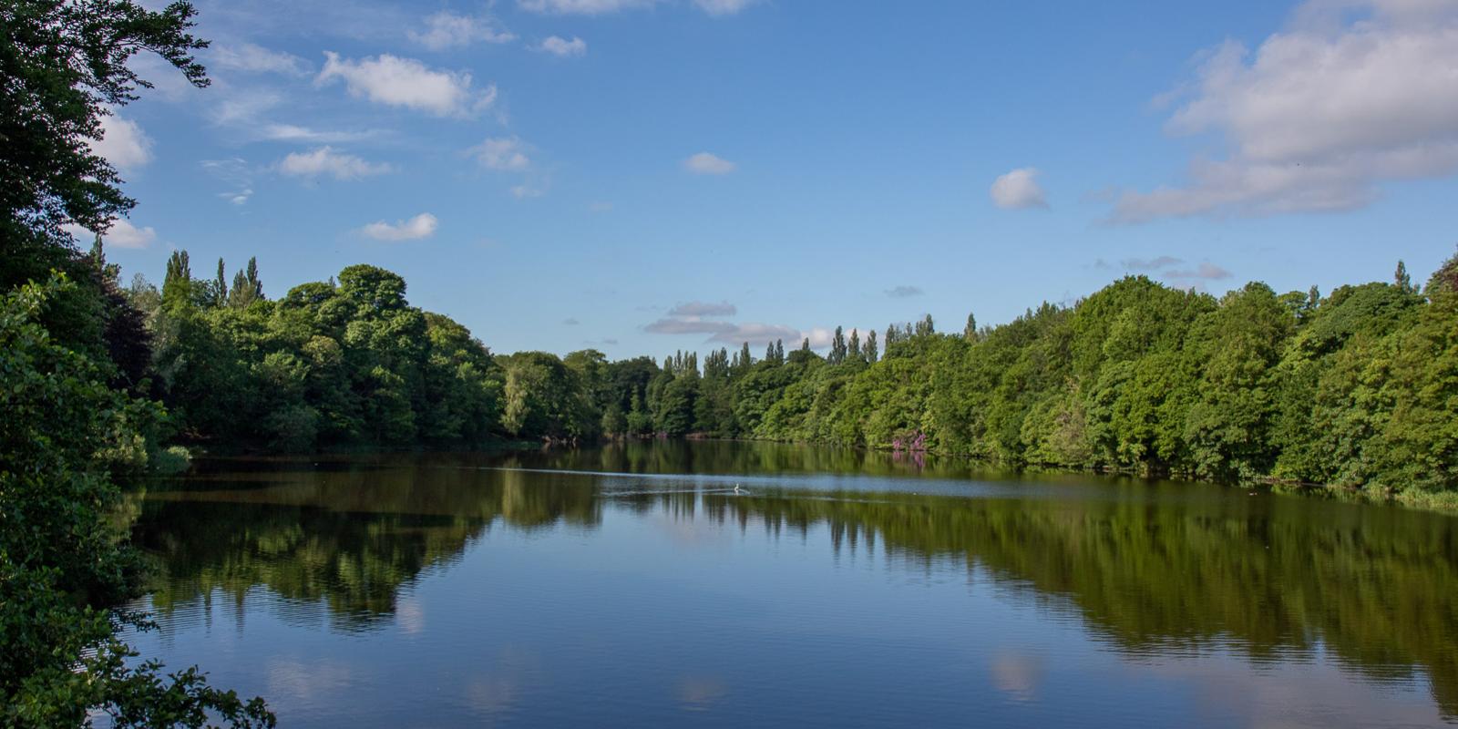 Home | lymm.uk